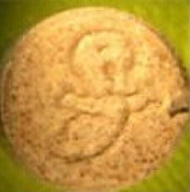 Eve & Rave Archiv (diese Seiten werden nicht mehr aktualisiert) - Drug ...